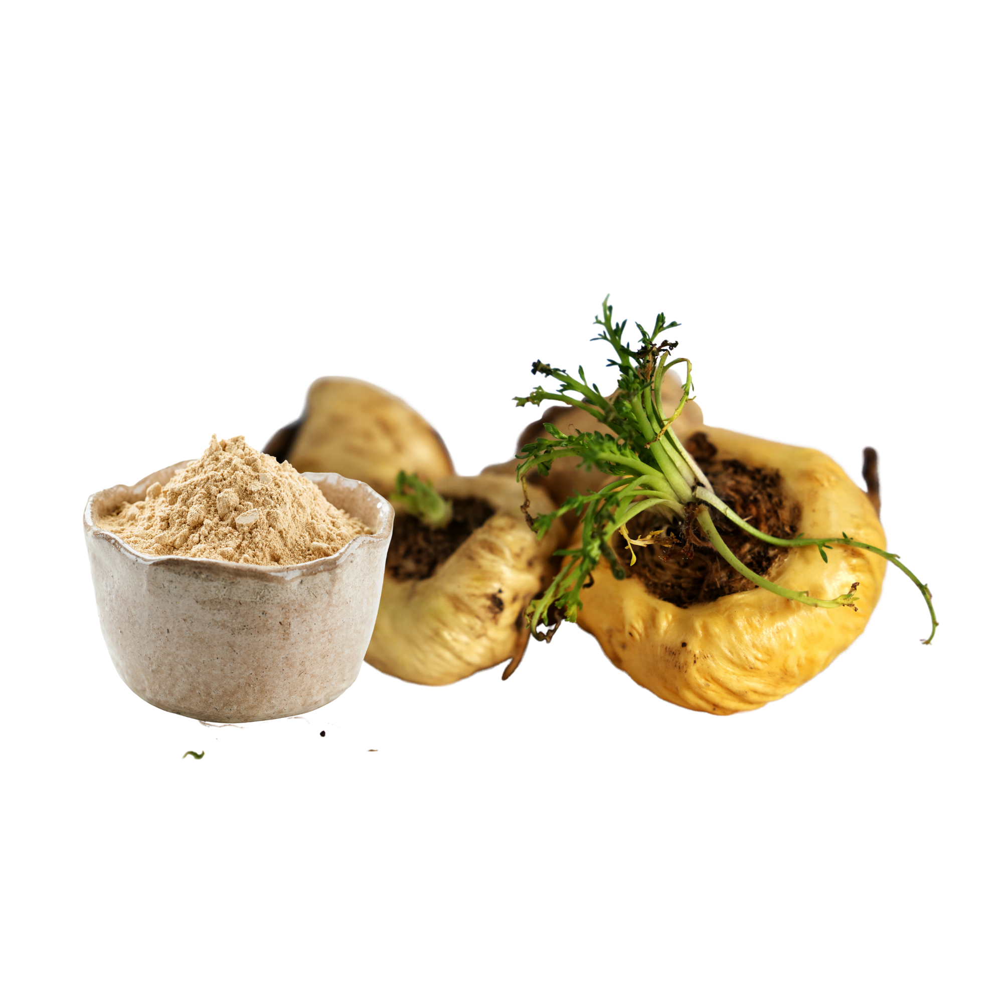 TRHS Gelatinised Maca Powder -300 grams – therealhealthstore